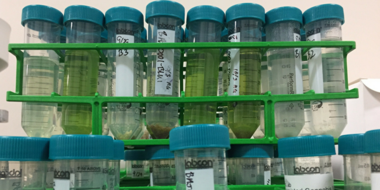 Casey Pearlman of PacLab Analytics Unlocks the Potential of an Industry ...